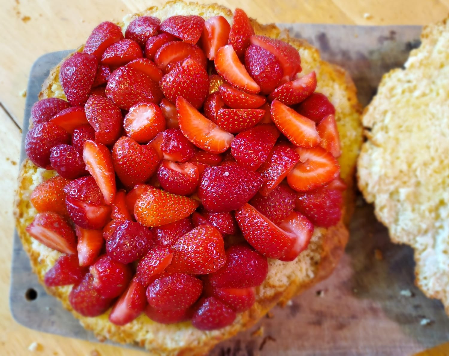 Parkinson’s Strawberry Shortcake – The Library Company of Philadelphia